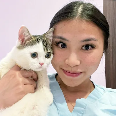 Veterinary Clinic in Singapore | Thomson & Yishun | Paws N' Claws